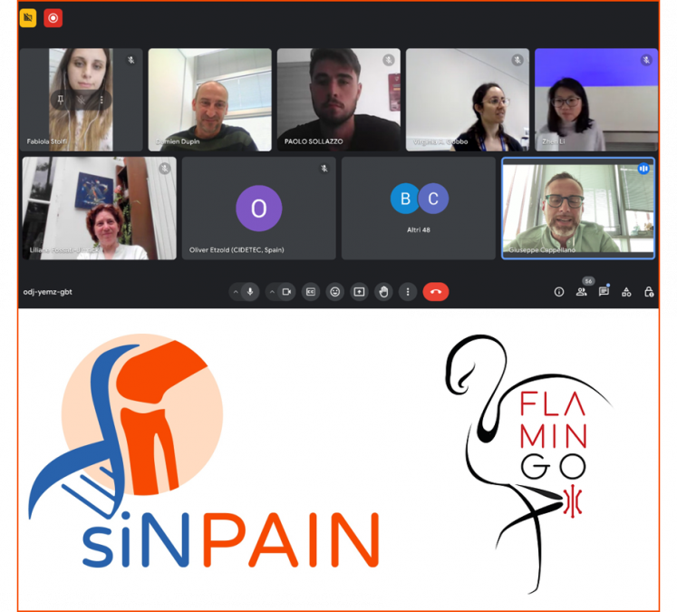 Joint workshop of FLAMIN-GO and SINPAIN held | SINPAIN